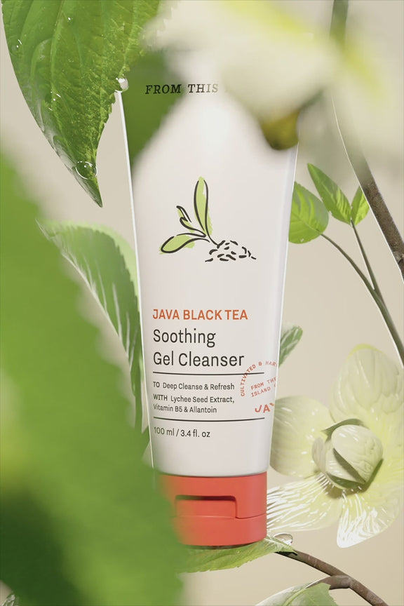 Java Black Tea Soothing Gel Cleanser – From This Island